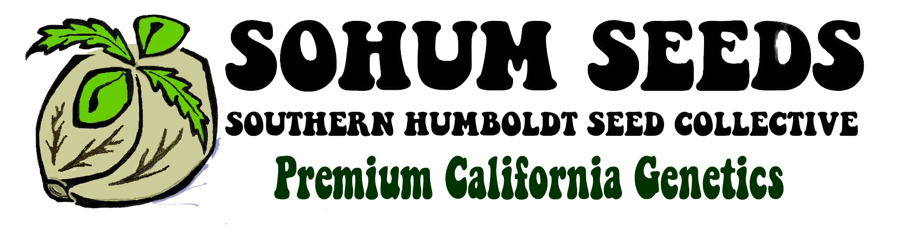 So Hum Seeds – Premium Seeds